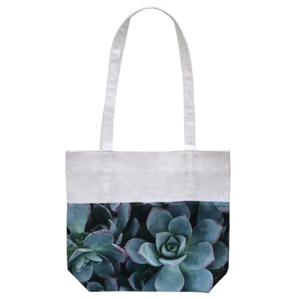 Kangaskassi Succulent in Soil - Kukka & Kaali